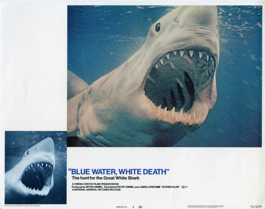 Blue Water, White Death – Being Tori